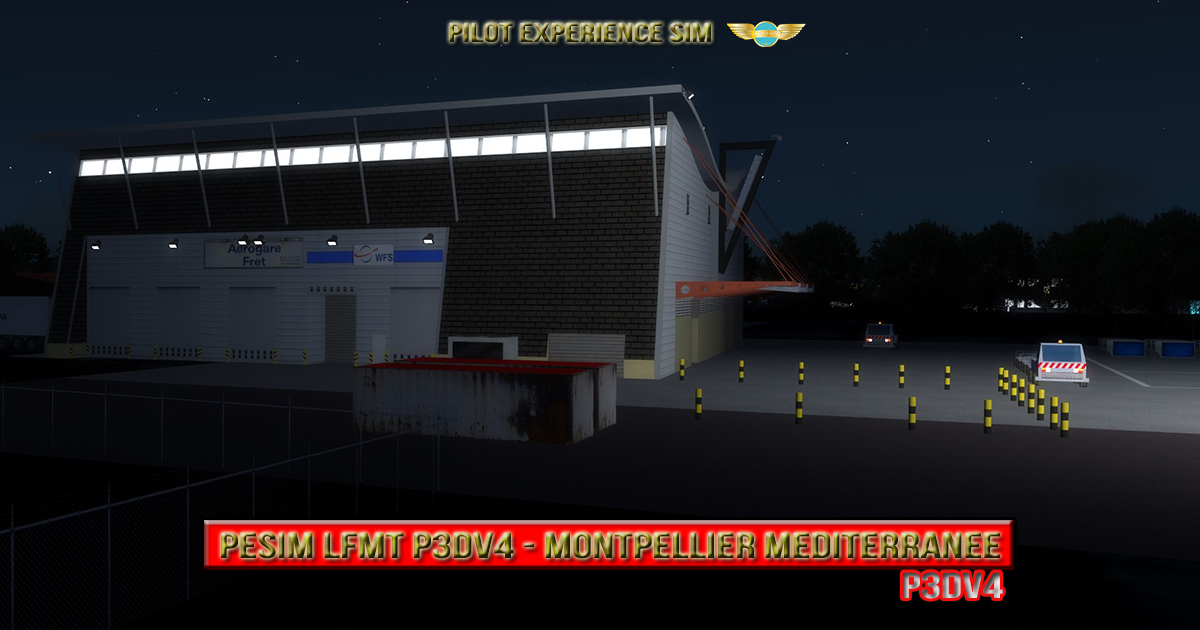 Pilot Experience Sim Unveils Roadmap - FSElite