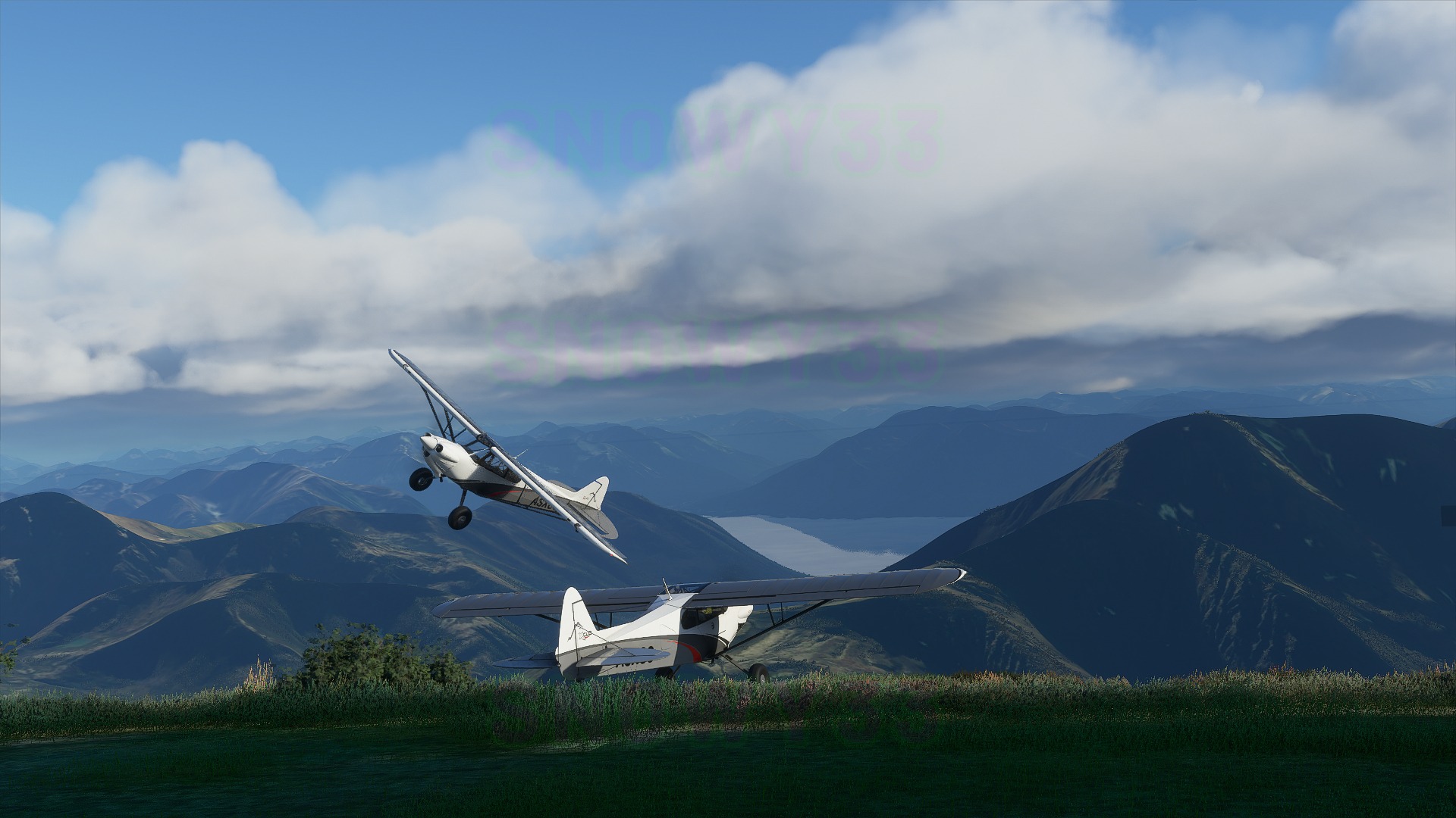 Microsoft Flight Simulator June 4th Update - Partnership Series Update ...