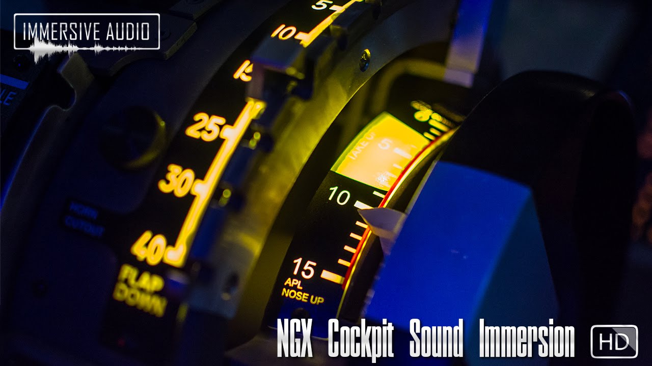 Immersive Audio Releases SP4 for NGX Cockpit Sound Immersion - FSElite