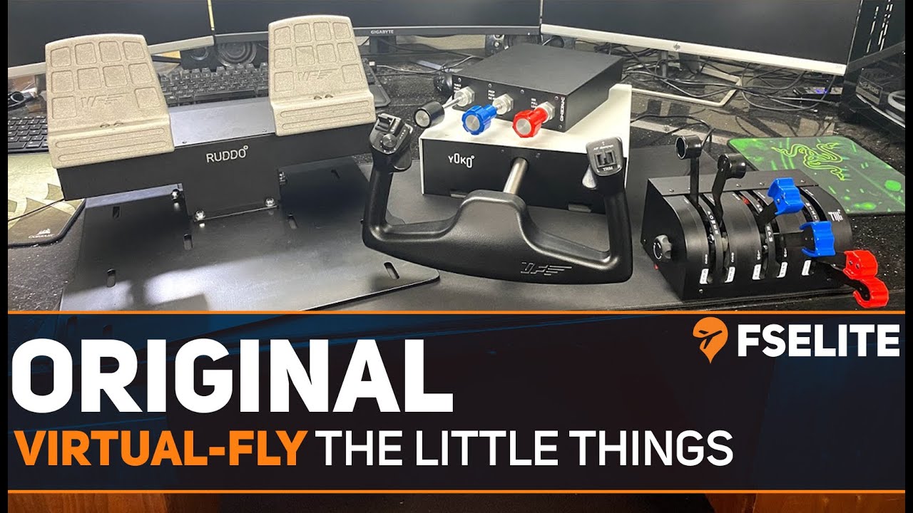The Little Things with Virtual Fly: The FSElite Original - FSElite