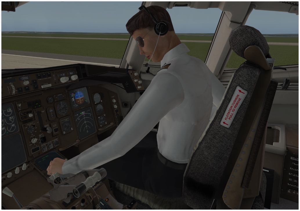 JarDesign Releases Co-Pilot Beta for Flight Factor 767 - FSElite
